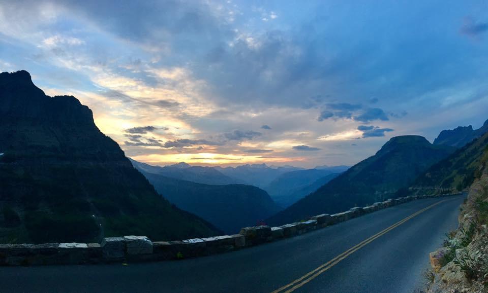 Wild animal encounters? - General Discussion - AddFaith