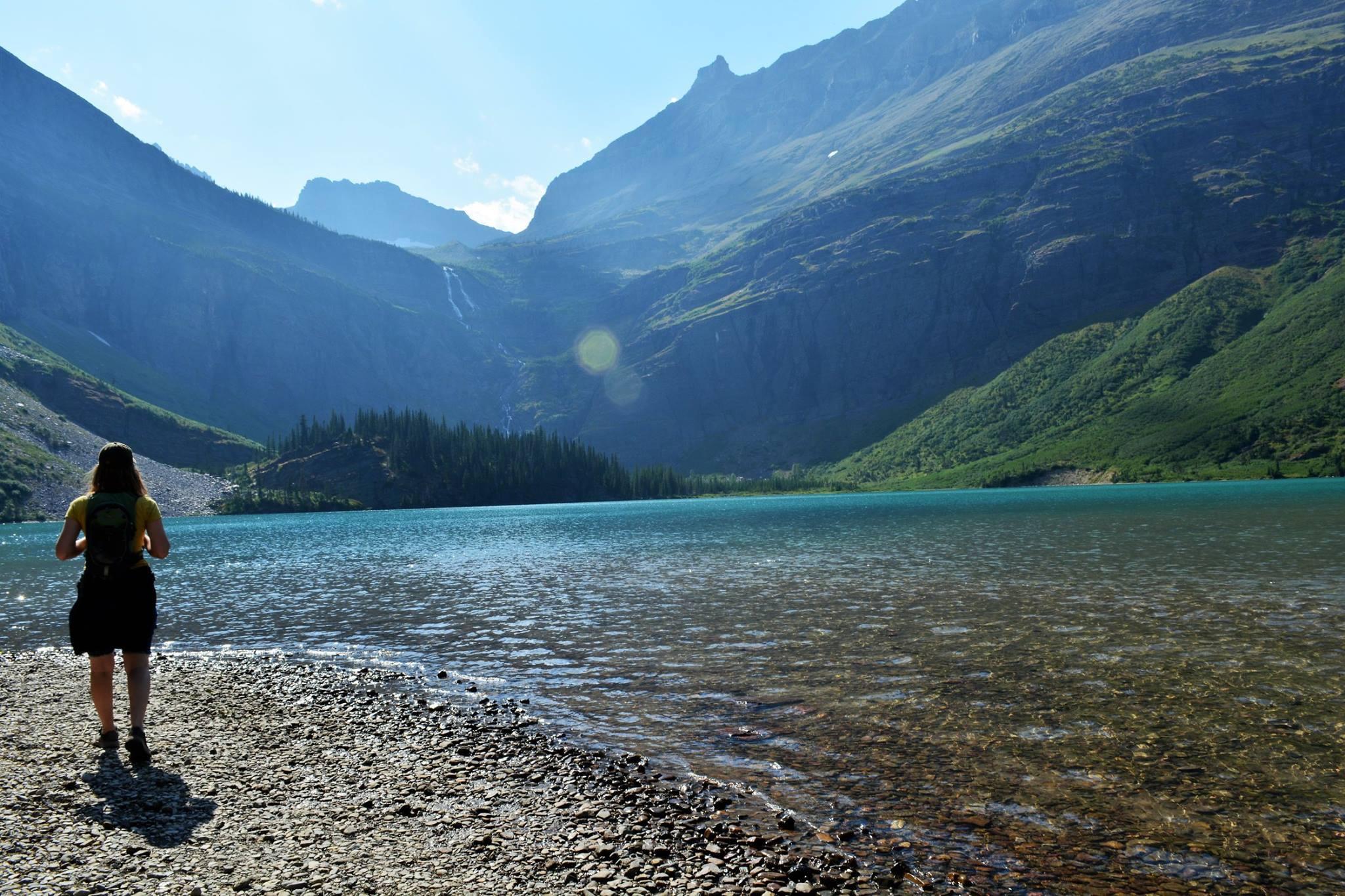 Wild animal encounters? - General Discussion - AddFaith